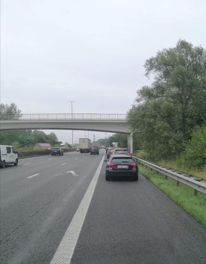 Aanschuiven op pechstrook van E17 afrit Haasdonk: “Dit is ...