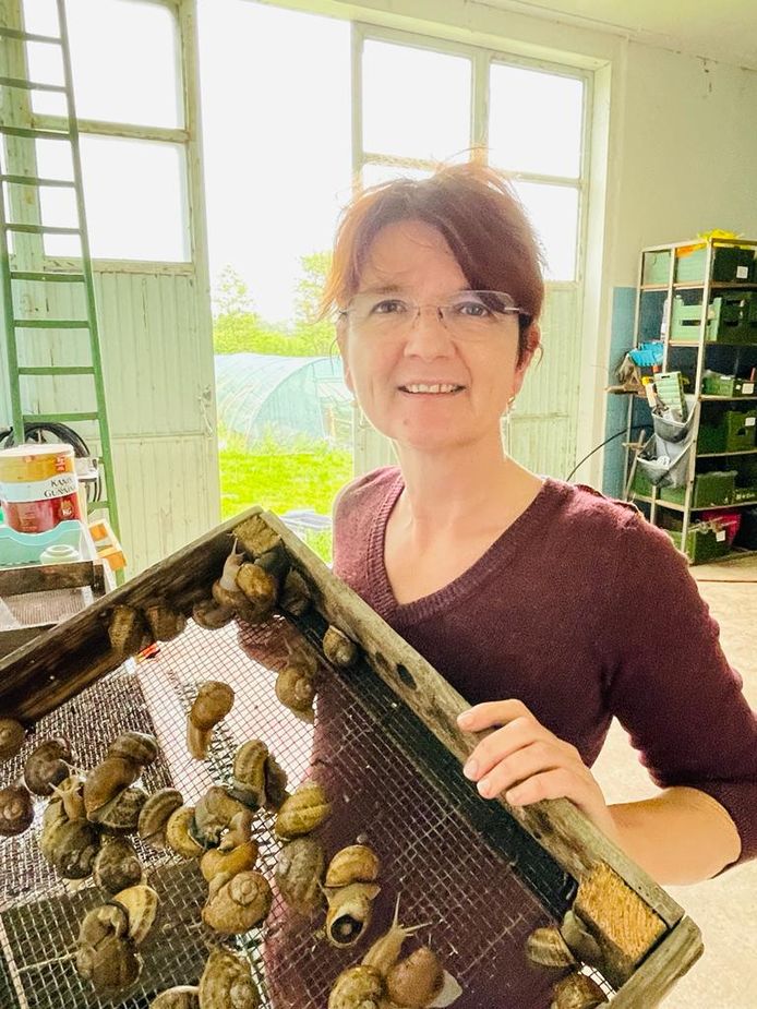 Cornu plukt eerste escargots van dit jaar: “Bestemd voor een nieuw ...