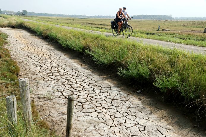 Plan voor extra zeewater in Yerseke Moer wordt met argusogen bekeken ...