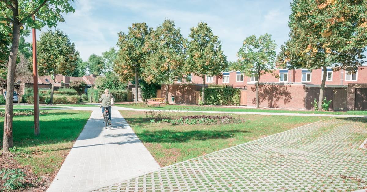 Marke heeft nieuw groen plein, met bomen waar bijen en vlinders zich ...