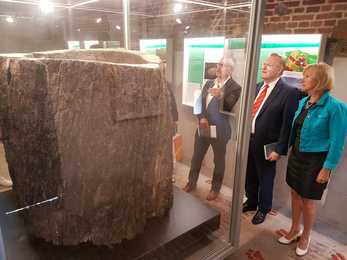 Boomstam moet toeristen lokken | Foto | hln.be