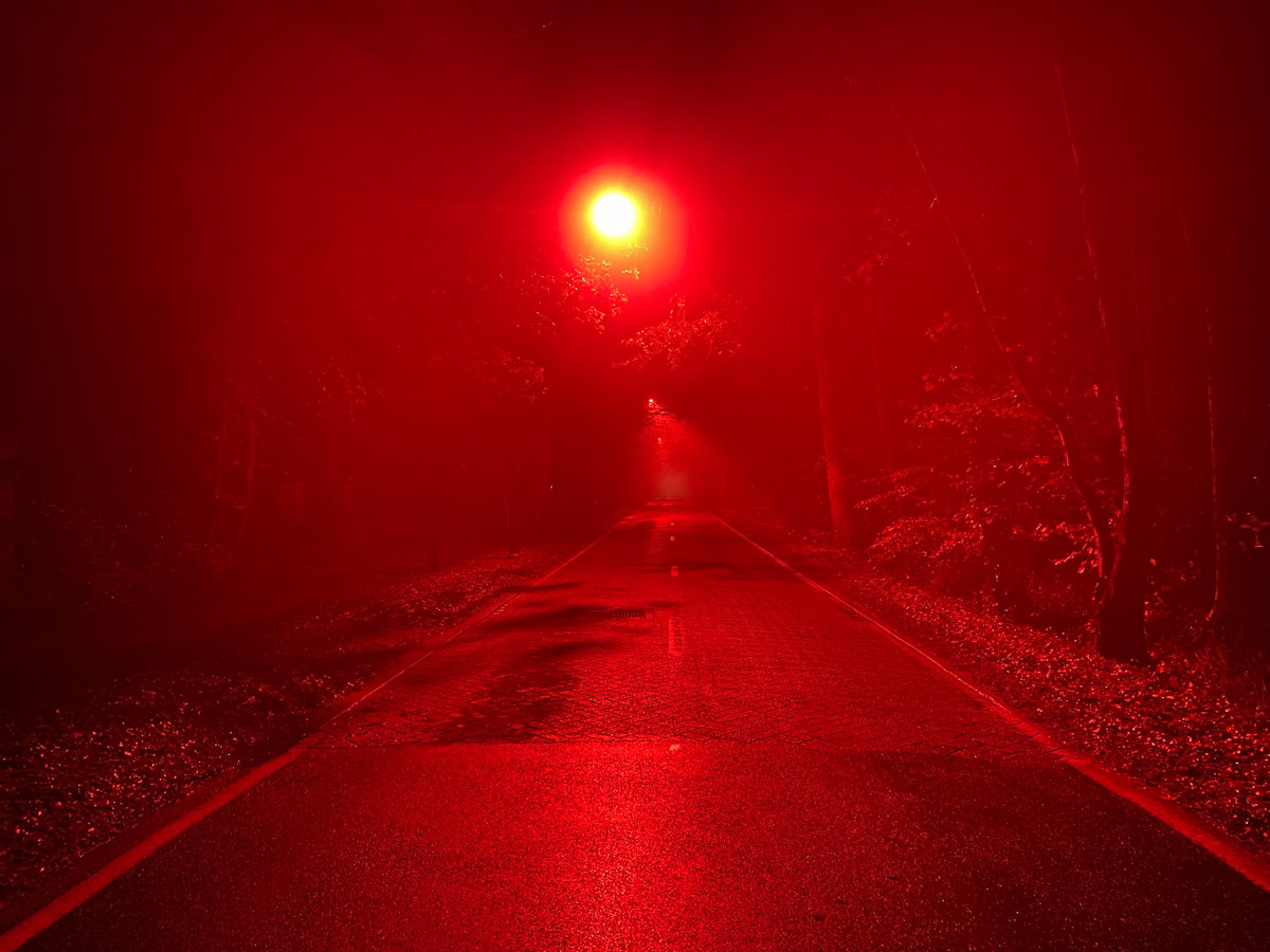 KIJK. Bizar tafereel in ‘s-Gravenwezel: drie lantaarnpalen kleuren ...