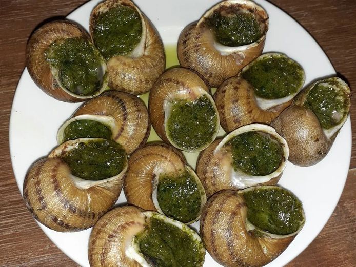 Slakken zijn het voedsel van de toekomst en ze worden gewoon in ...