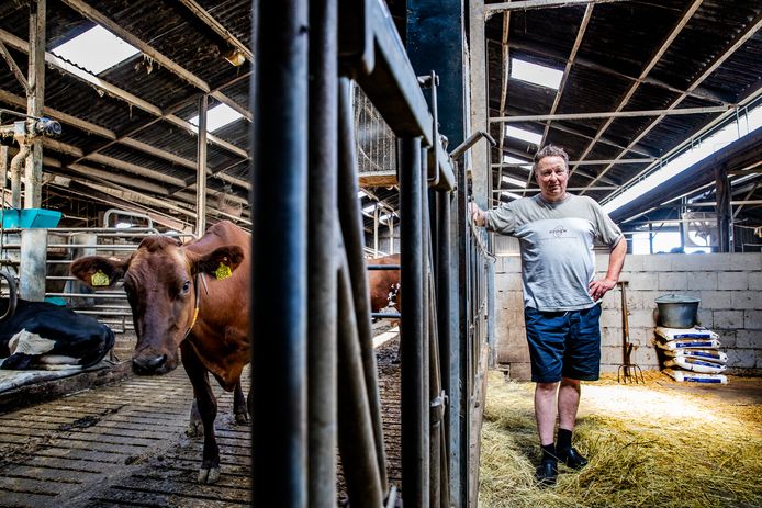 Boer Peter moet zijn stal vernieuwen, maar niemand weet hoe: ‘Een ...