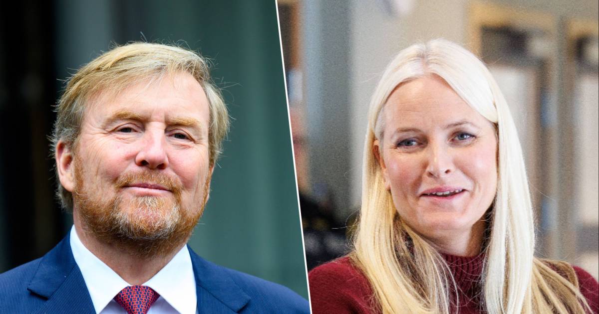 ROYALTYCHECK. De baard van Willem-Alexander en de onethische schoenen ...