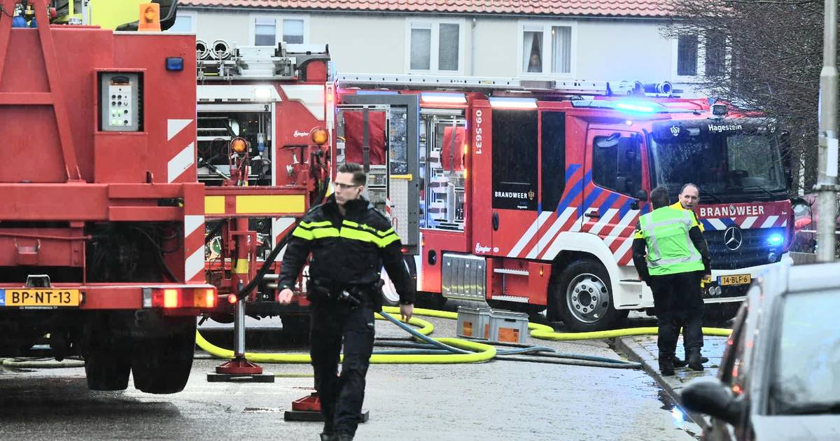 Buurvrouw dodelijk slachtoffer woningbrand Vianen: ‘Mijn enige angst is ...