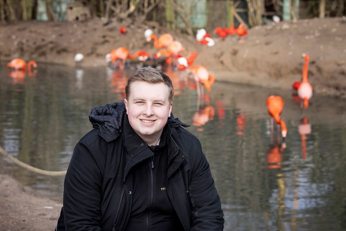 Dylan (24) werkt in Pairi Daiza én kweekt ook zelf papegaaien: hoeveel ...