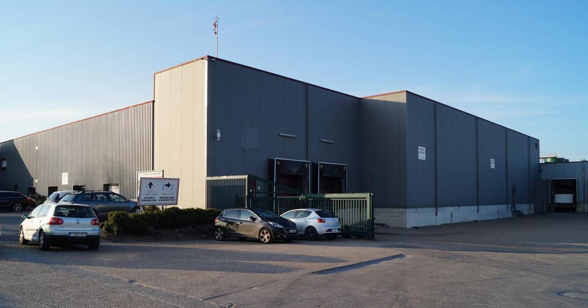 Slachthuis Tielt vanaf vandaag weer open: dit zijn de voorwaarden ...