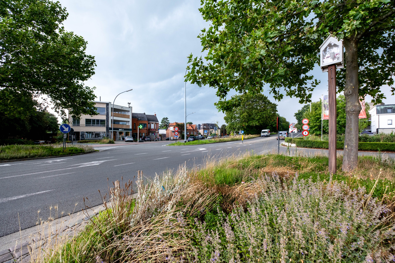 MIJN DORP. Het Battel van lokale steunpilaar Sonja Vertommen (64): “Het kruispunt met ‘het ...