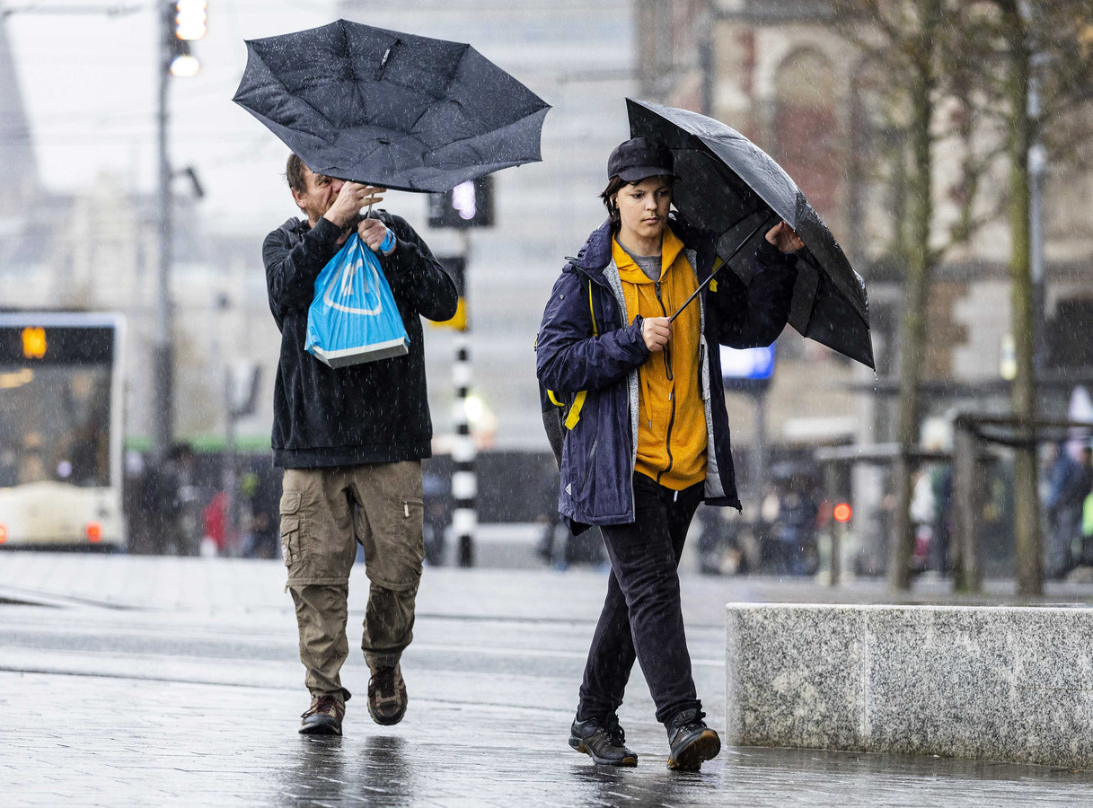 WEERBERICHT. Veel regen en rukwinden: KMI waarschuwt voor felle wind ...