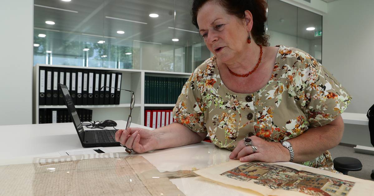 Historisch revisionisme - d.w.z., nieuwe interpretaties van oude feiten ...