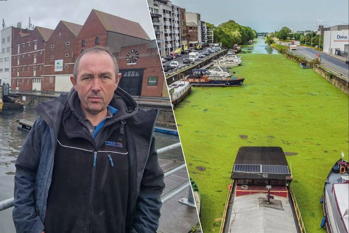 Baggerwerken moeten visbestand in Kanaal Ieper-IJzer opnieuw op peil ...