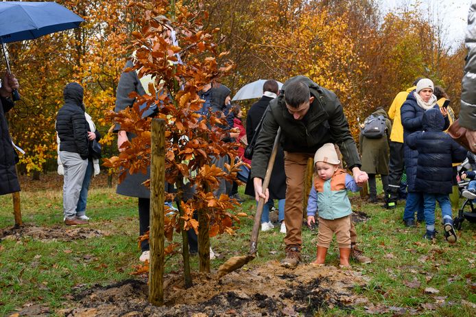 Geboortebos in Borsbeek weer een stukje groter | Borsbeek | hln.be