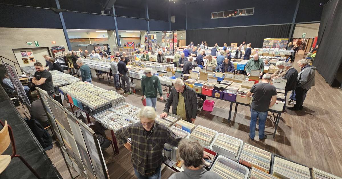 Najaarseditie van platenbeurs palmt opnieuw CC Zwaneberg in | Heist-Op ...