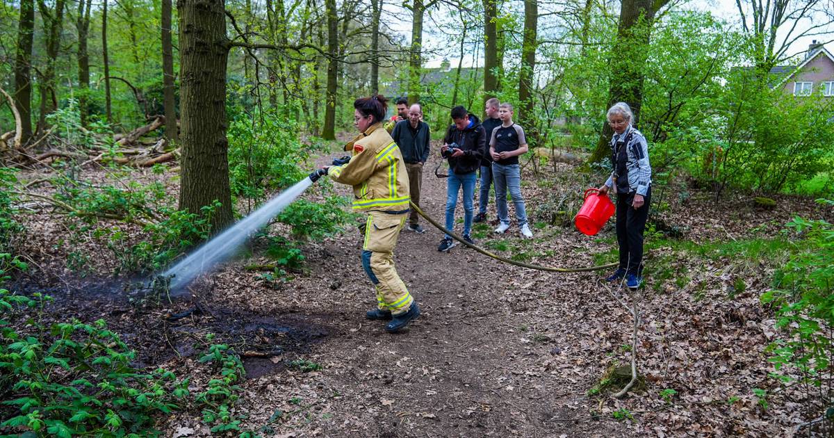 Kinderen stichten klein brandje in bos Geldrop, brandweer komt het ...