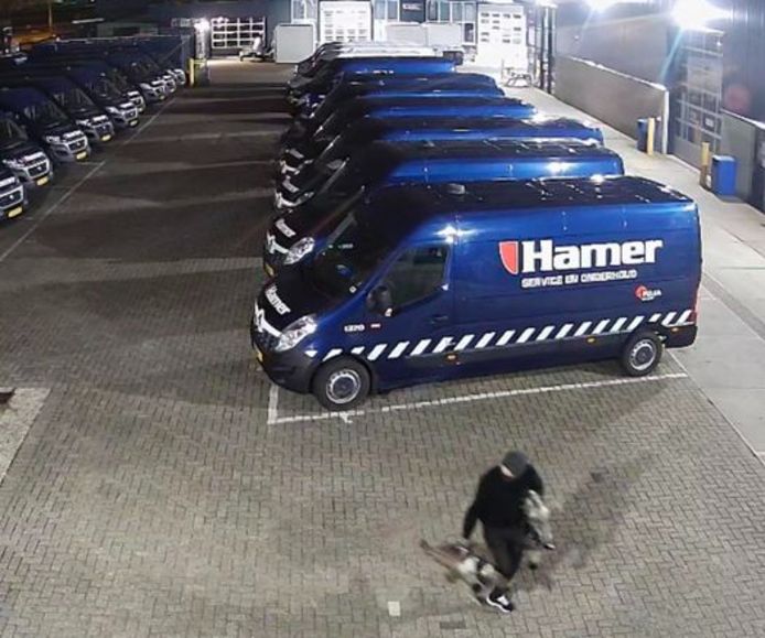 Dieven richten in kwartiertje voor tienduizenden euro’s schade aan ...