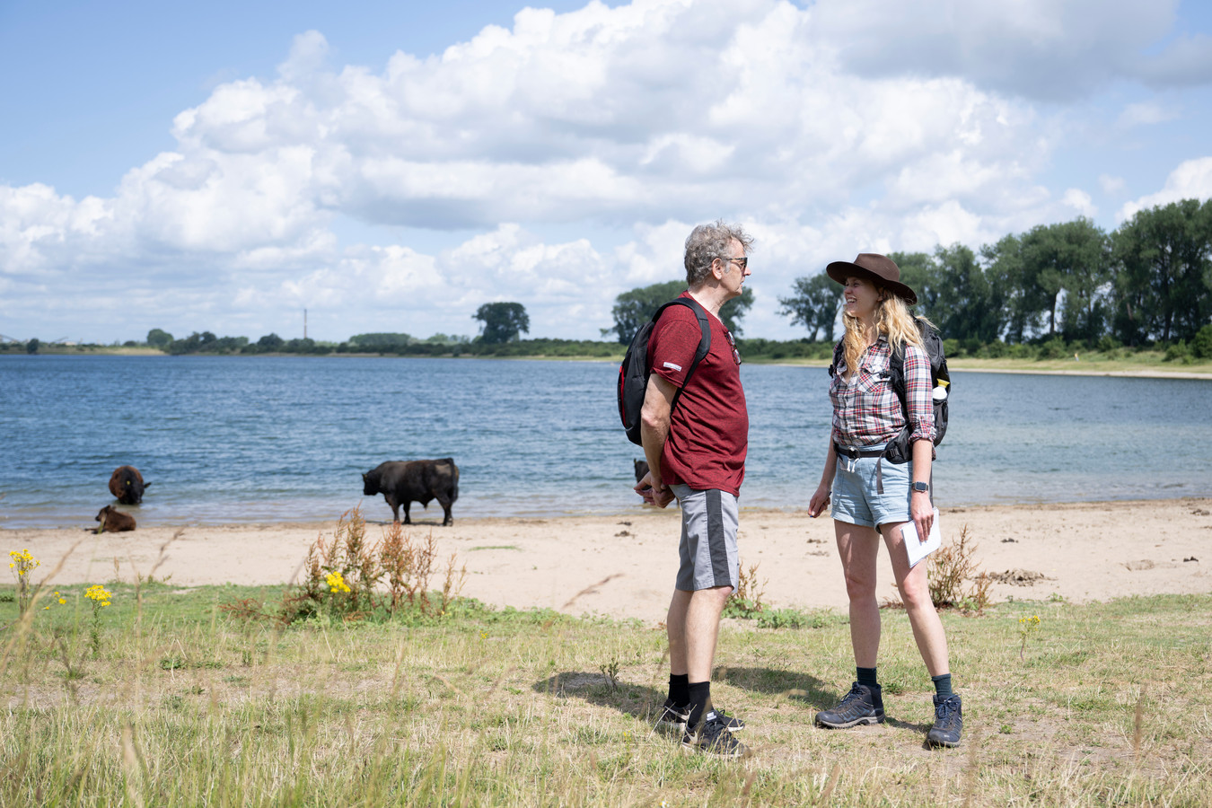 Op pad met stikstofcriticus Arnout Jaspers: ‘Natuur biedt ontspanning ...