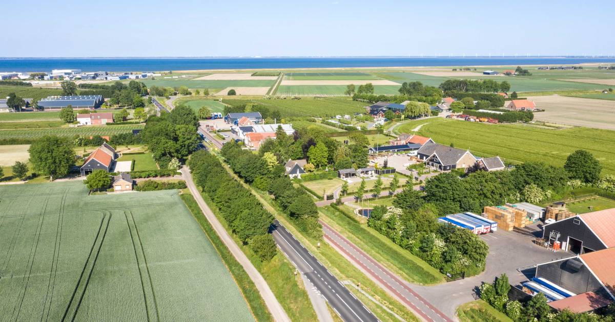 Zanddijk BV moet op zoek naar nieuwe toezichthouders | Reimerswaal | pzc.nl