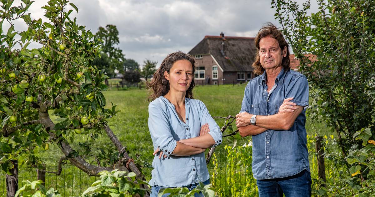 Nieuwe kapplannen zijn schrikbeeld van Iris en Henk: ‘Mooi bos wordt om ...