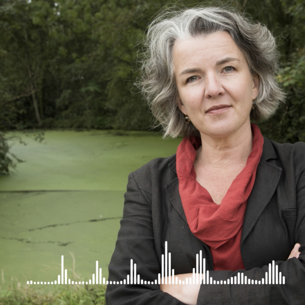 Podcast: Met Groenteman in de kast met Nicolien Mizee | De Volkskrant