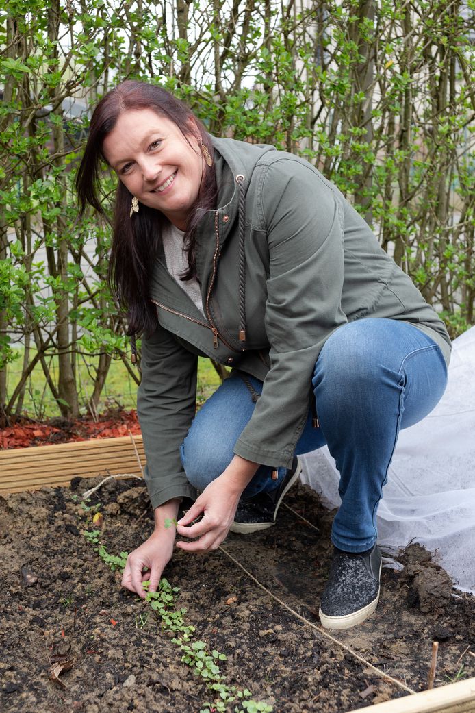 Stappenplan voor je moestuin (deel 4): “Puur geluk: de radijsjes komen ...