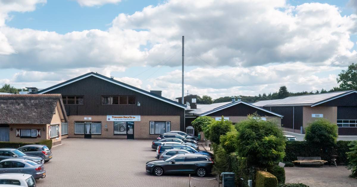 Omwonenden vragen strafvervolging eendenslachterij Ermelo nu illegale ...