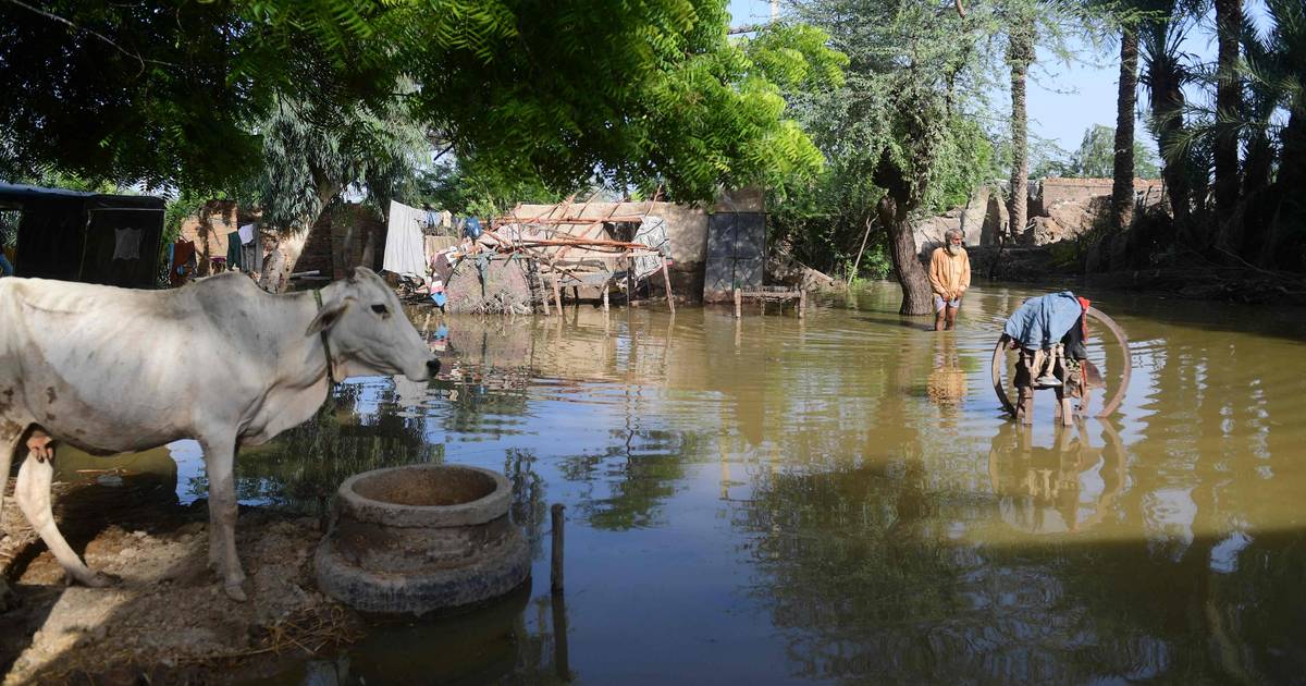 Dodental van moessonregens in Pakistan loopt verder op | Buitenland ...