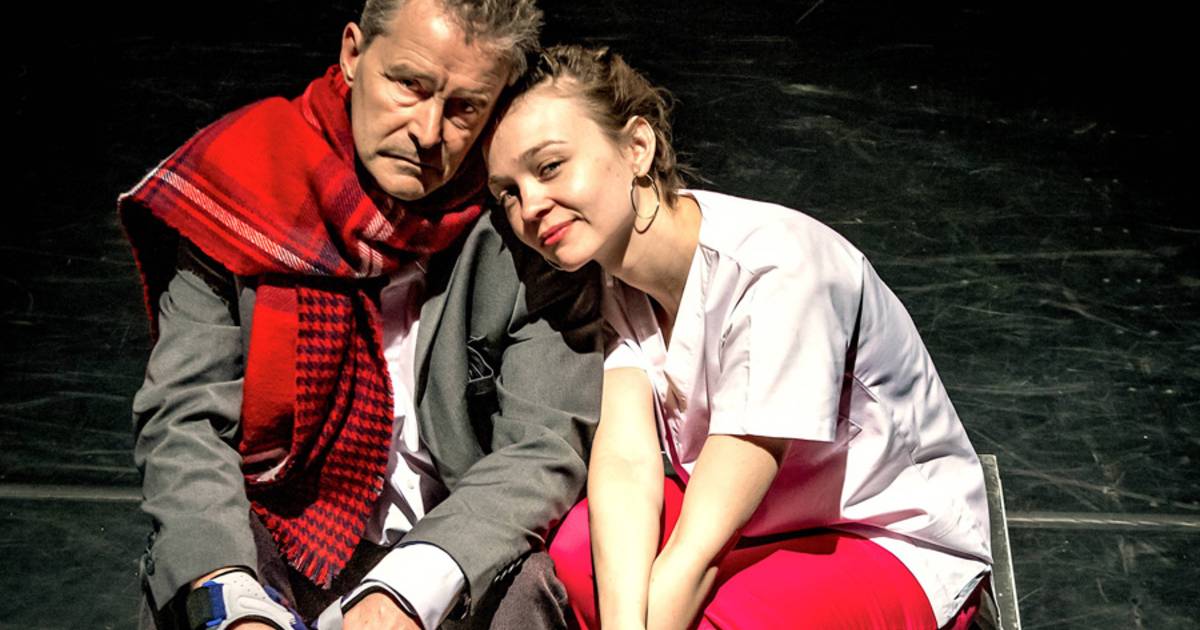 5 x uit in onze regio dit weekend: van ontmoeting met Walter Baele tot ...