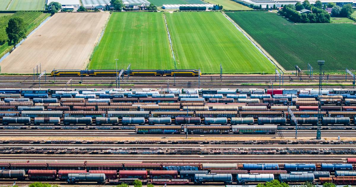Zwijndrecht in verzet tegen hoogspanningskabels: ‘Calamiteit boven ...