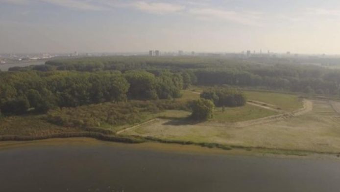 Sint-Annabos dan toch niet gekapt | Binnenland | hln.be