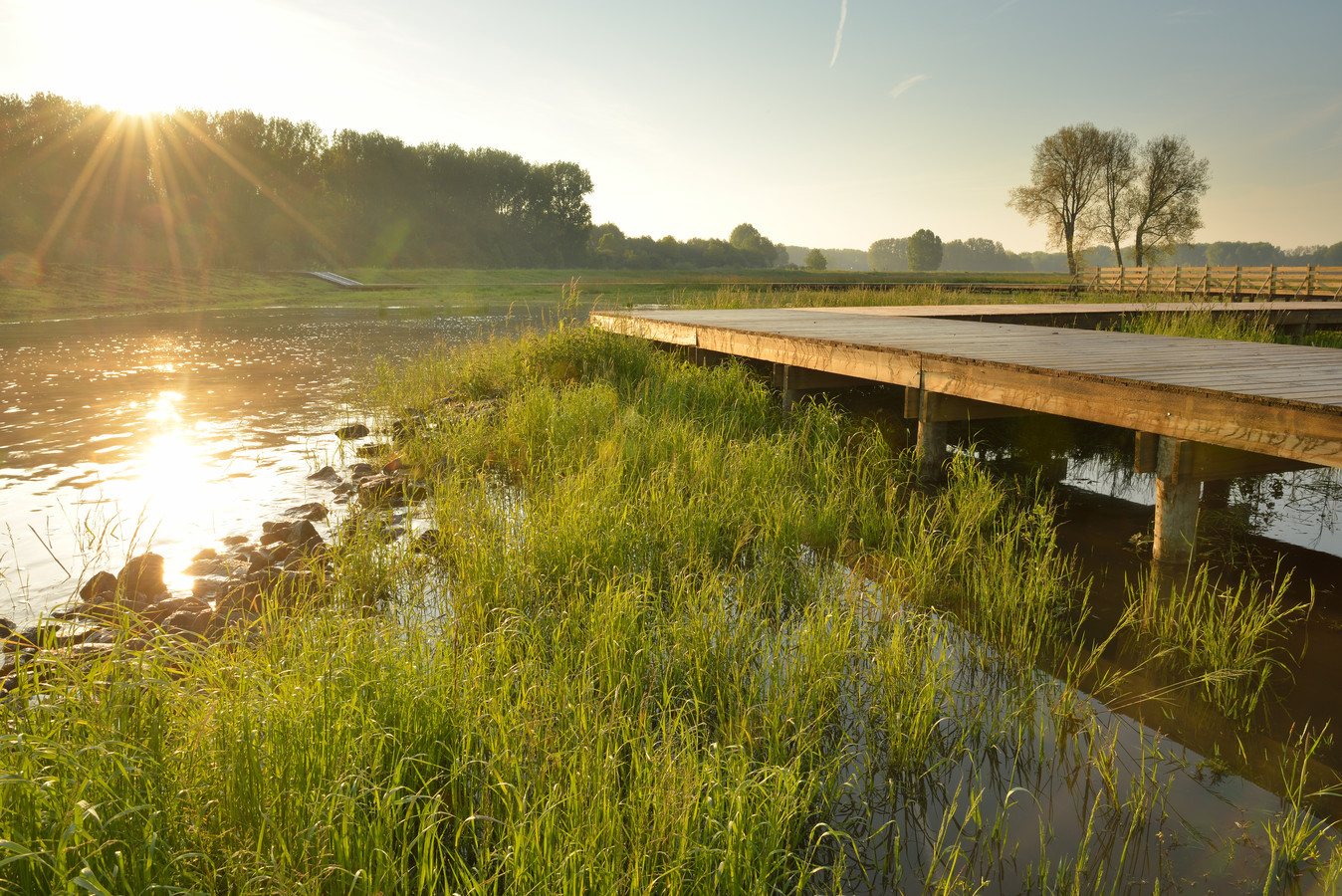 Wat te doen in de regio Gent op 21 juli? Van de rondgang der ...