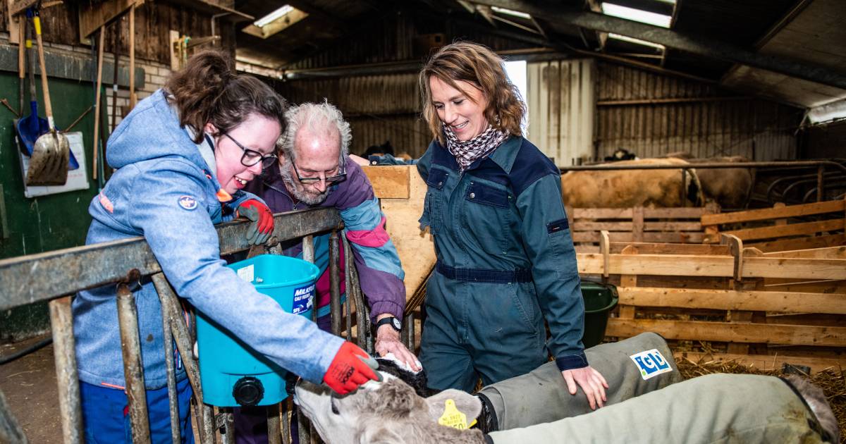 Boerin Nelleke laat dementerende ouderen zich weer nuttig voelen ...