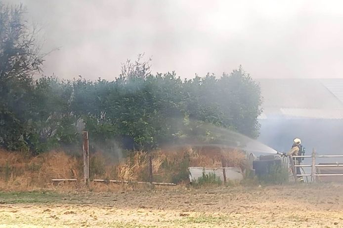 Zware schuurbrand in Zonnegem nadat hooi vuur vat: twee jaar geleden ...