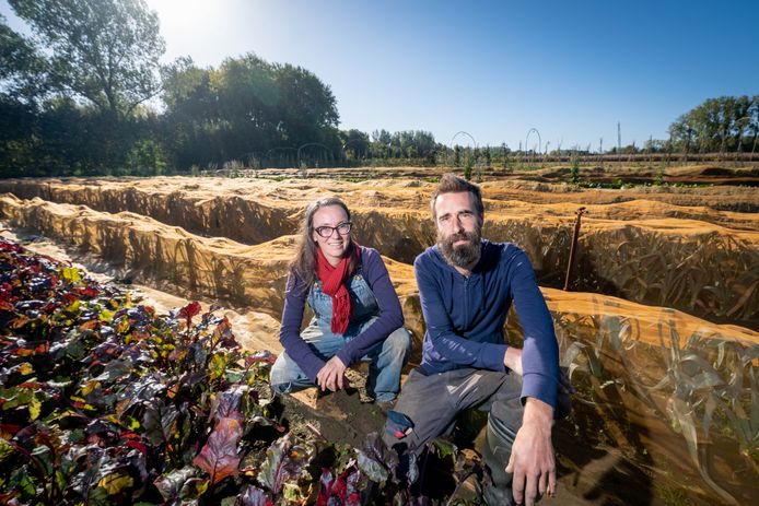 1,5 miljoen keer bedankt! Deze verhalen uit Puurs-Sint-Amands raakten ...