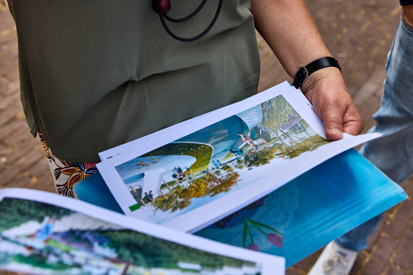 Rotterdam plant voor tientallen miljoenen aan bomen in de stad: ‘Het ...