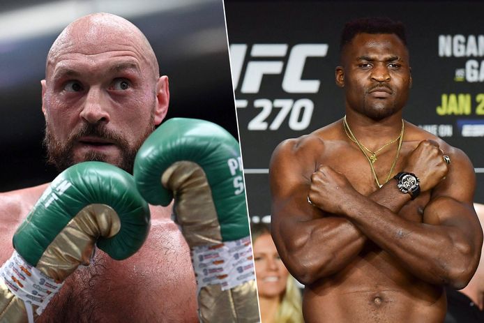 Ophef om gevecht Tyson Fury tegen MMA-ster Francis Ngannou: ‘Kampioen ...