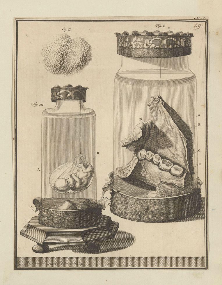 Op bezoek bij de beroemde Ruysch in Amsterdam | De Volkskrant