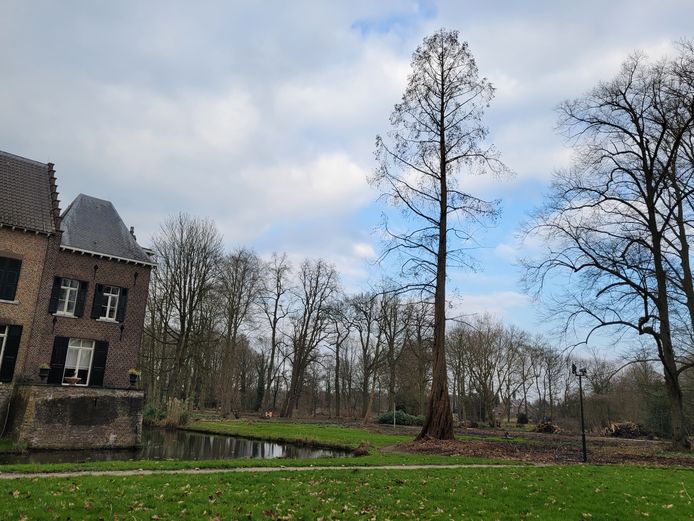 Restauratie Kasteelpark Geldrop twee maanden vertraagd; bouw van poort ...