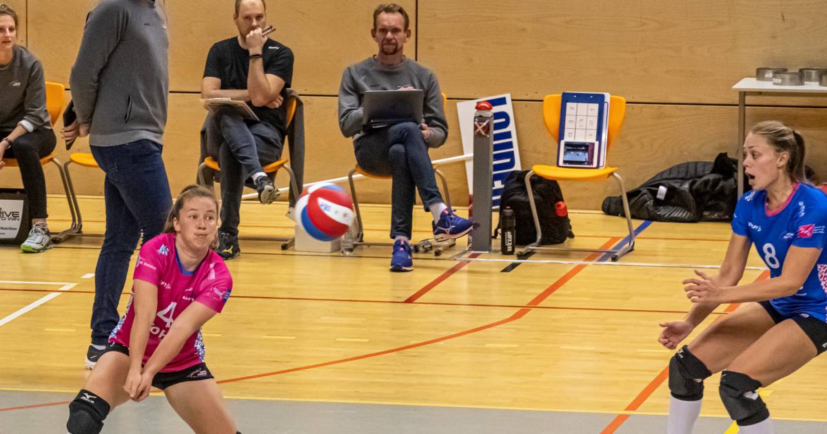Dankzij scorende Susan Schut verslaat Regio Zwolle Volleybal debutant ...