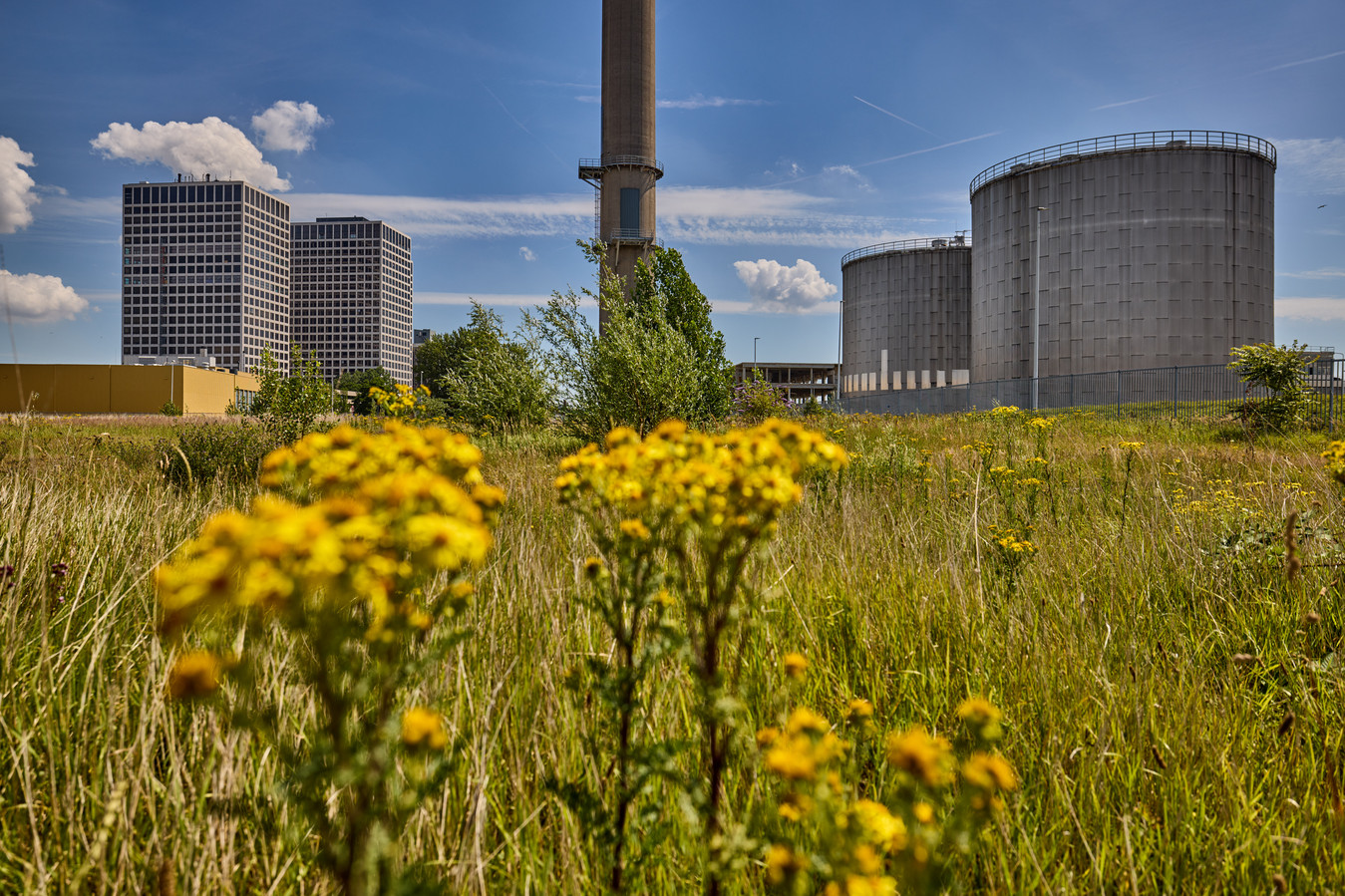 Op deze bekende plek in Rotterdam komt een compleet nieuwe wijk ...