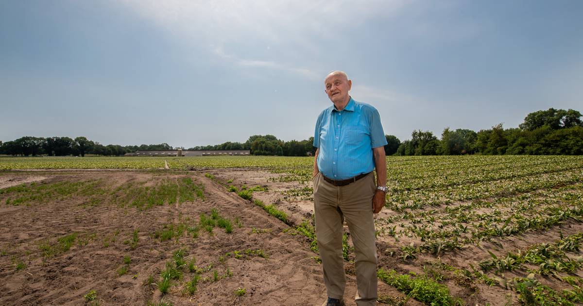 Droogte van 1976: hoe het leger de aardappeloogst van Chris Dijk redde ...