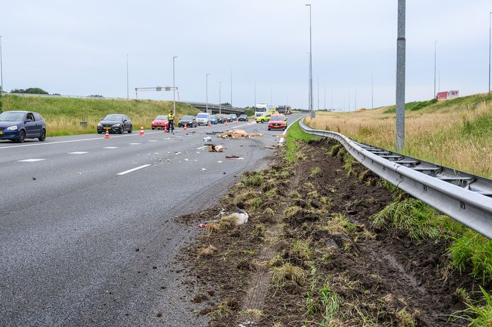 Vrachtwagen wijkt uit voor ganzen en veroorzaakt botsing: ravage op de A58, verbindingsweg ...