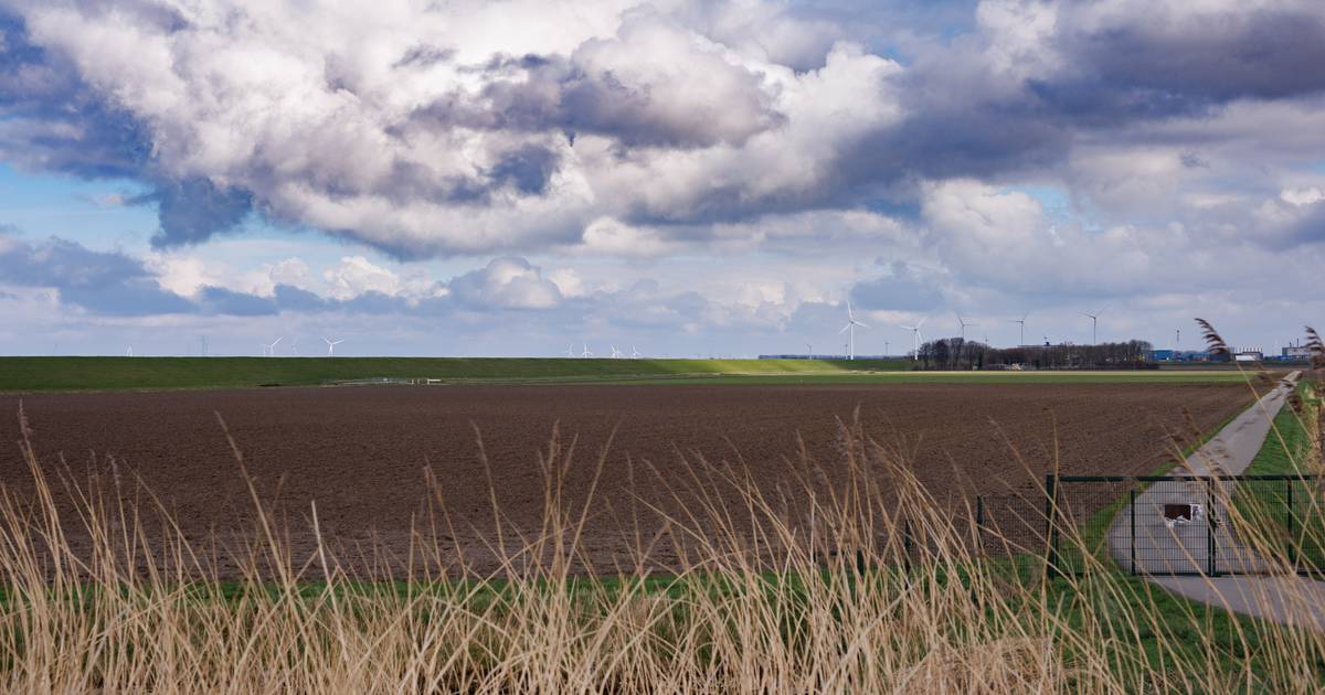 Even is de Karolinapolder windmolen-vrij, maar ja, er komen nieuwe ...