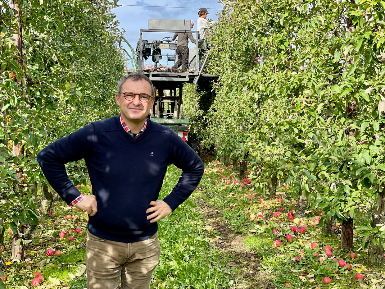 De toekomst van de fruitteelt? Gewoon heerlijk eerlijke appels