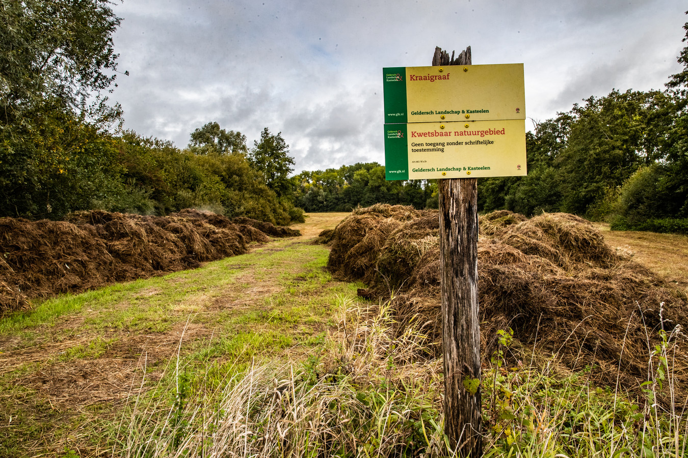 Plan voor zonnepark van 25 hectare bij vliegveld Teuge: ‘Onderzoeken ...