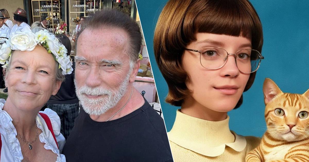CELEB 24/7. Jamie Lee Curtis houdt van Arnold Schwarzenegger en wie ...