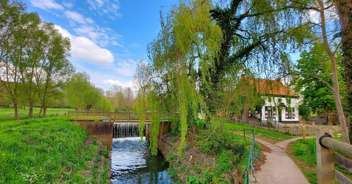 Big Jump in de Zwalm voor een betere waterkwaliteit | Zwalm | hln.be