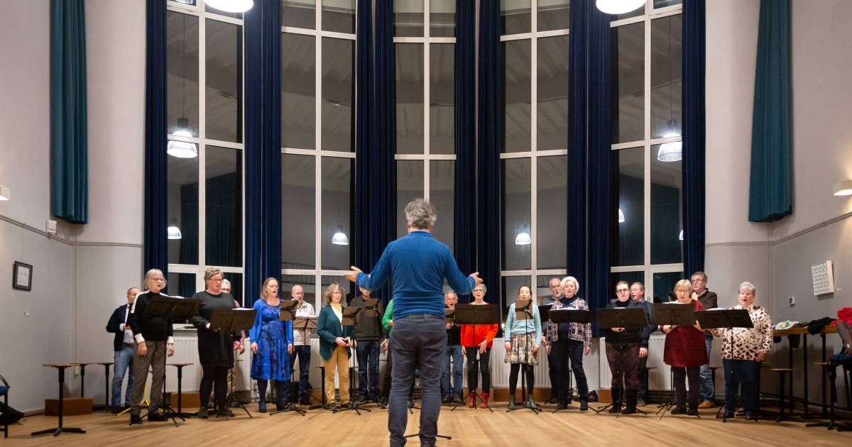 ‘Theo Driessen Instituut moet niet doen wat Muziekcafé doet’: zes ...