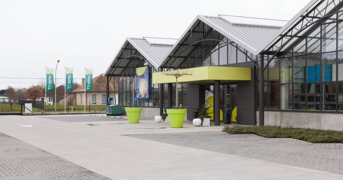 Fleur en kleur bij je thuis: bij deze 6 tuincentra in de regio Mechelen ...