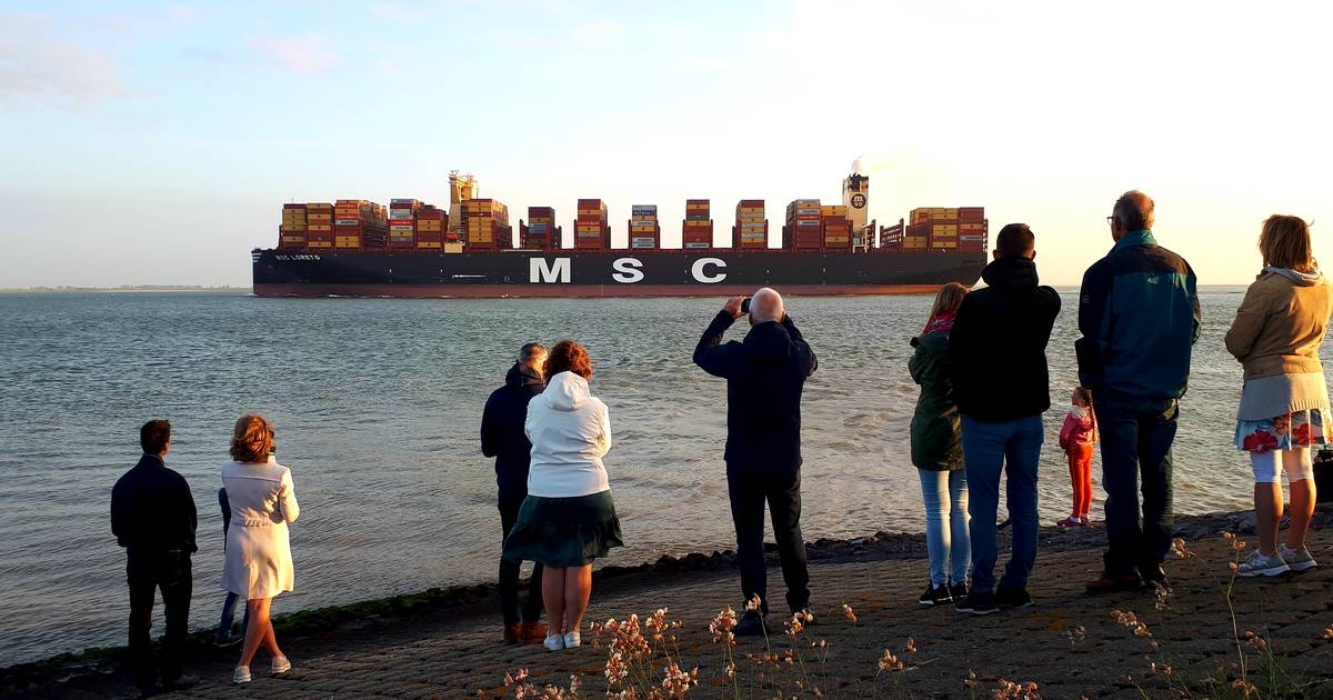 Containerreus op Westerschelde trekt veel bekijks | Reimerswaal | pzc.nl